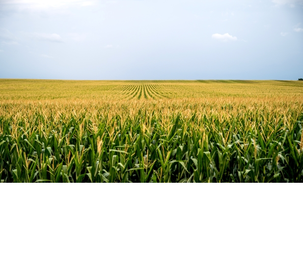 BayWa AG - Consolidated Financial Statements